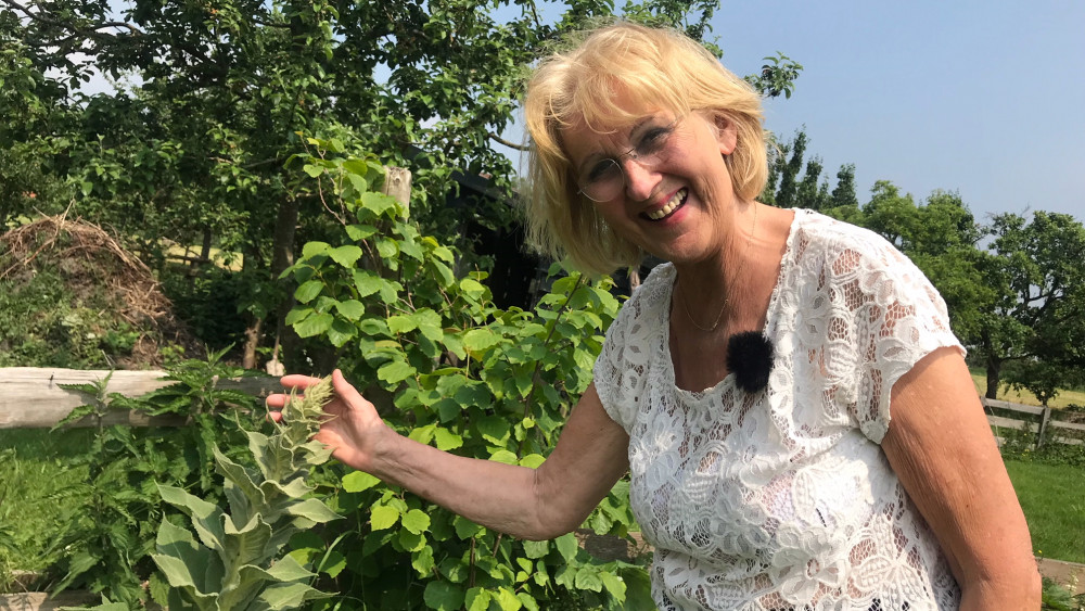 Heb je last van de griep? Dit kun je er volgens kruidenvrouw Trudy ...